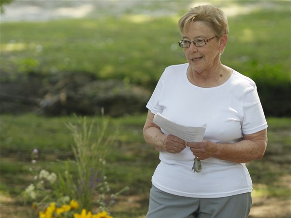 Scheidel Amphitheater dedicated at Olander Park | The Blade