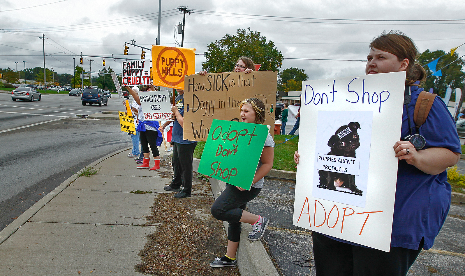 Local pet store draws protest - The Blade