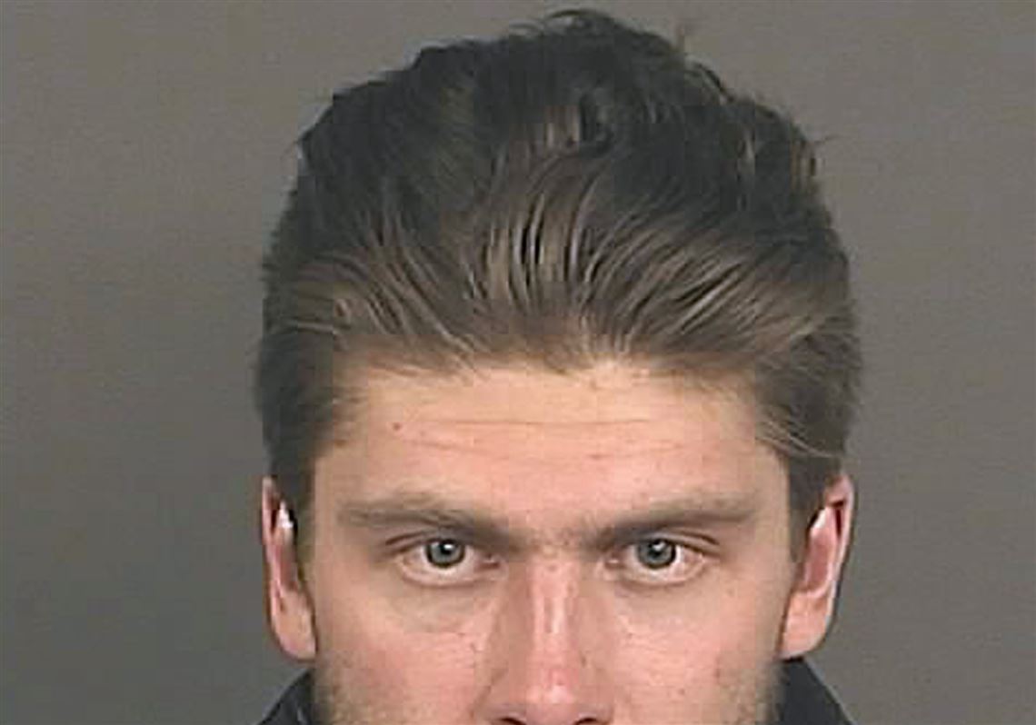 Varlamov Arrest