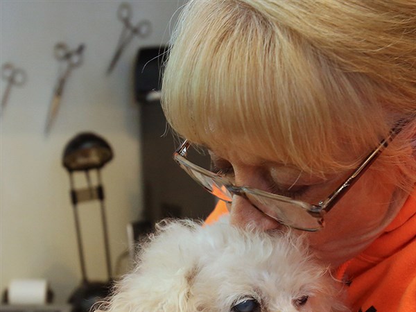 Homeless, blind poodle finds Safe Harbor in Port Clinton | The Blade