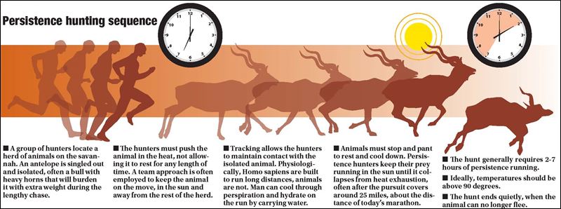 Hunting on the run - Toledo Blade