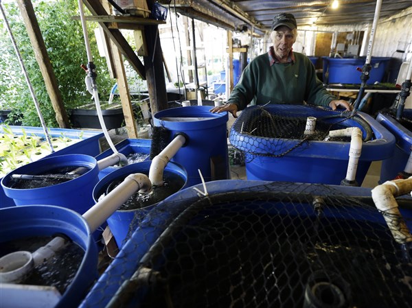 Economist challenges idea of aging farmer crisis | The Blade