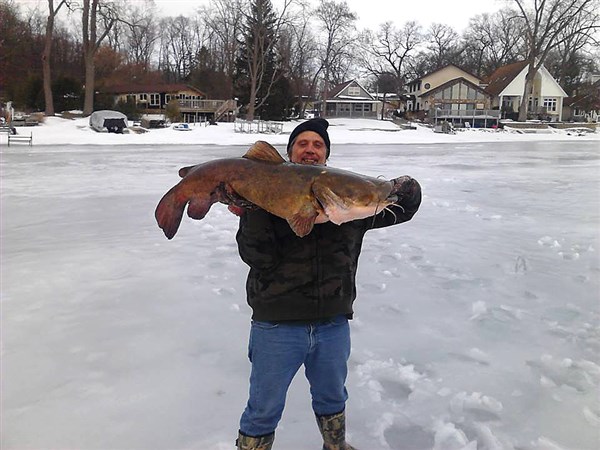 Michigan flathead catfish record broken for second time in less than 2 ...