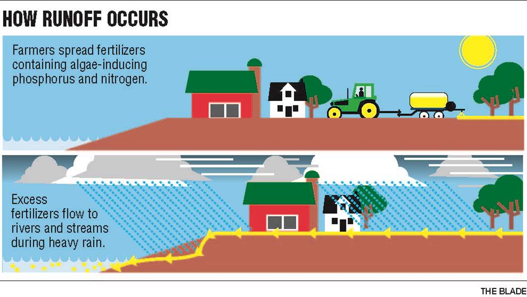 Agricultural Runoff Diagram