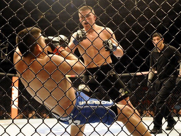 Study: MMA brain injury risk higher than boxing | The Blade