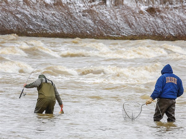 419 Day right around the corner | The Blade