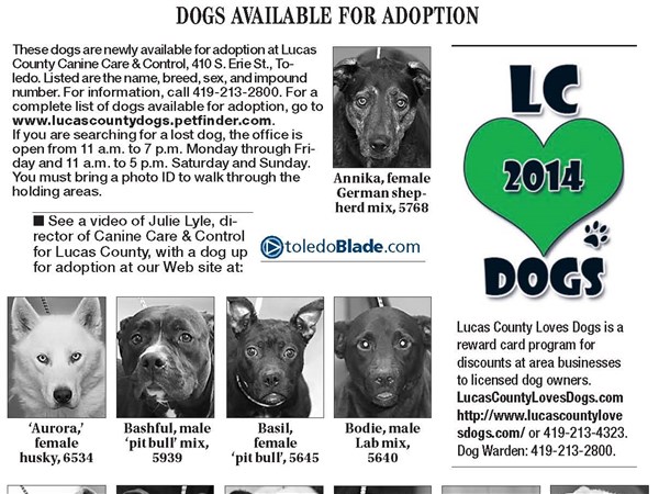 Lucas County Dogs for Adoption:6-22 | The Blade