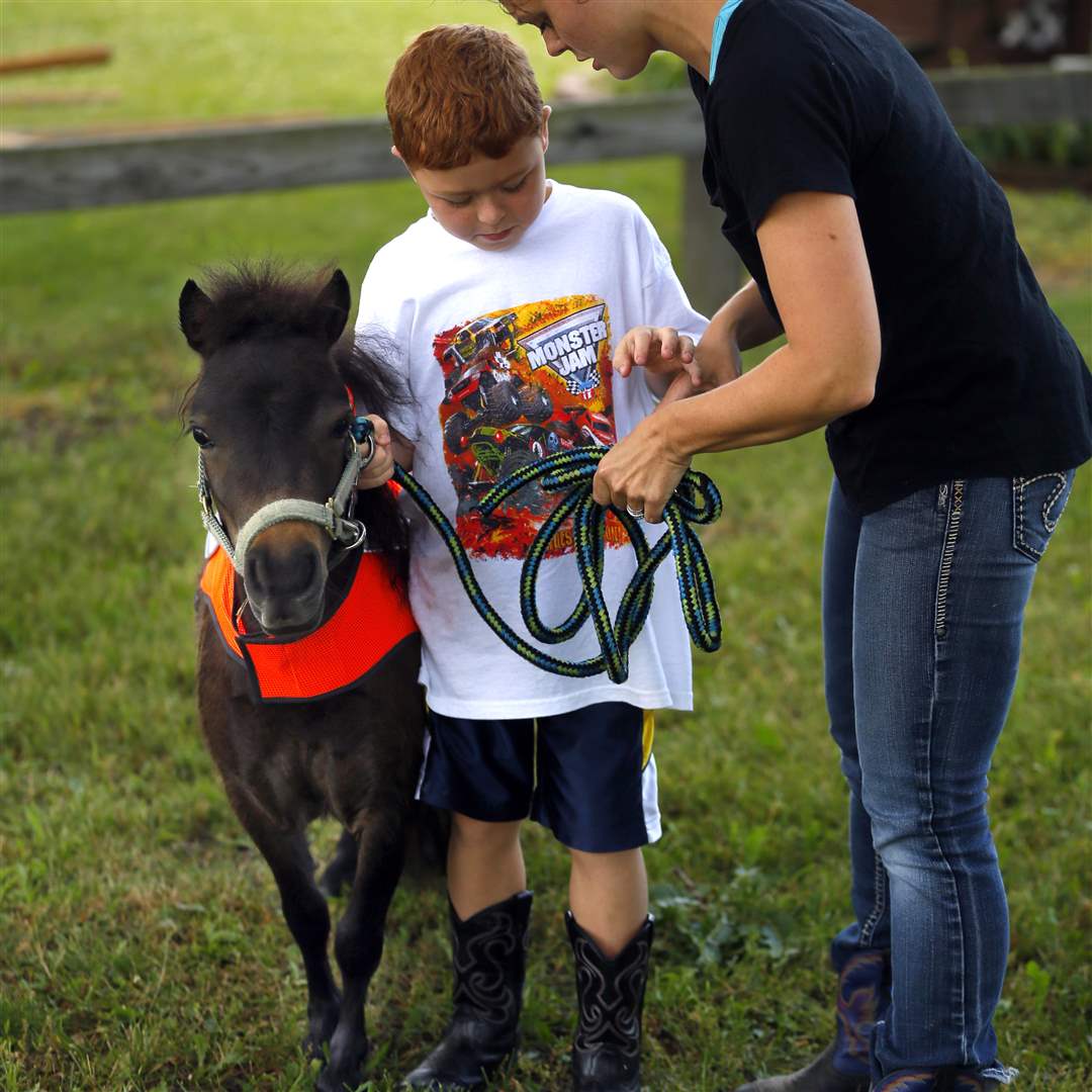 Lucas County Fair begins - The Blade