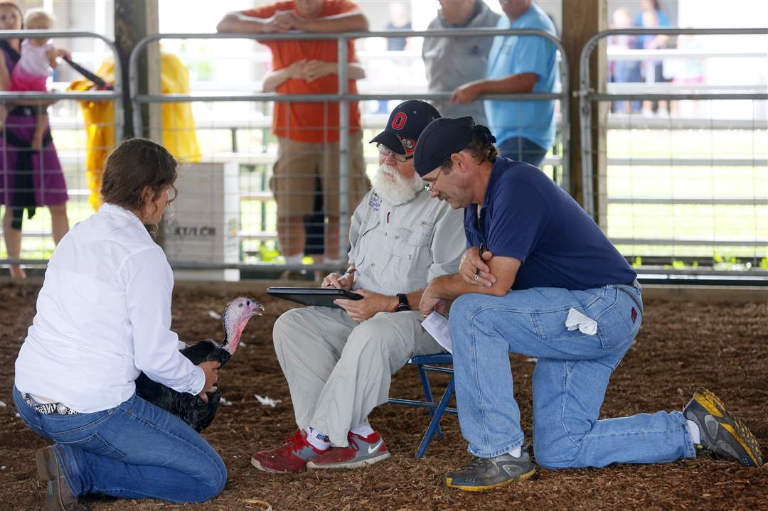 Lucas County Fair begins - The Blade