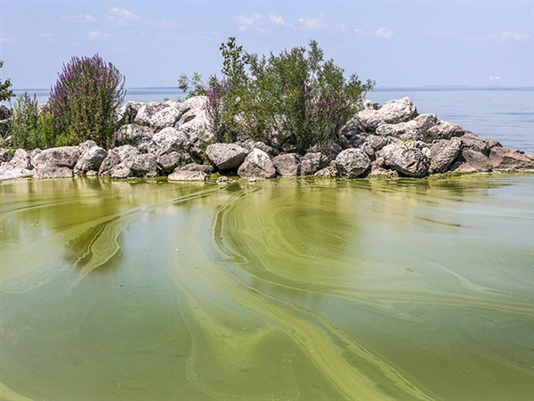 Clean up Lake Erie — for real | The Blade