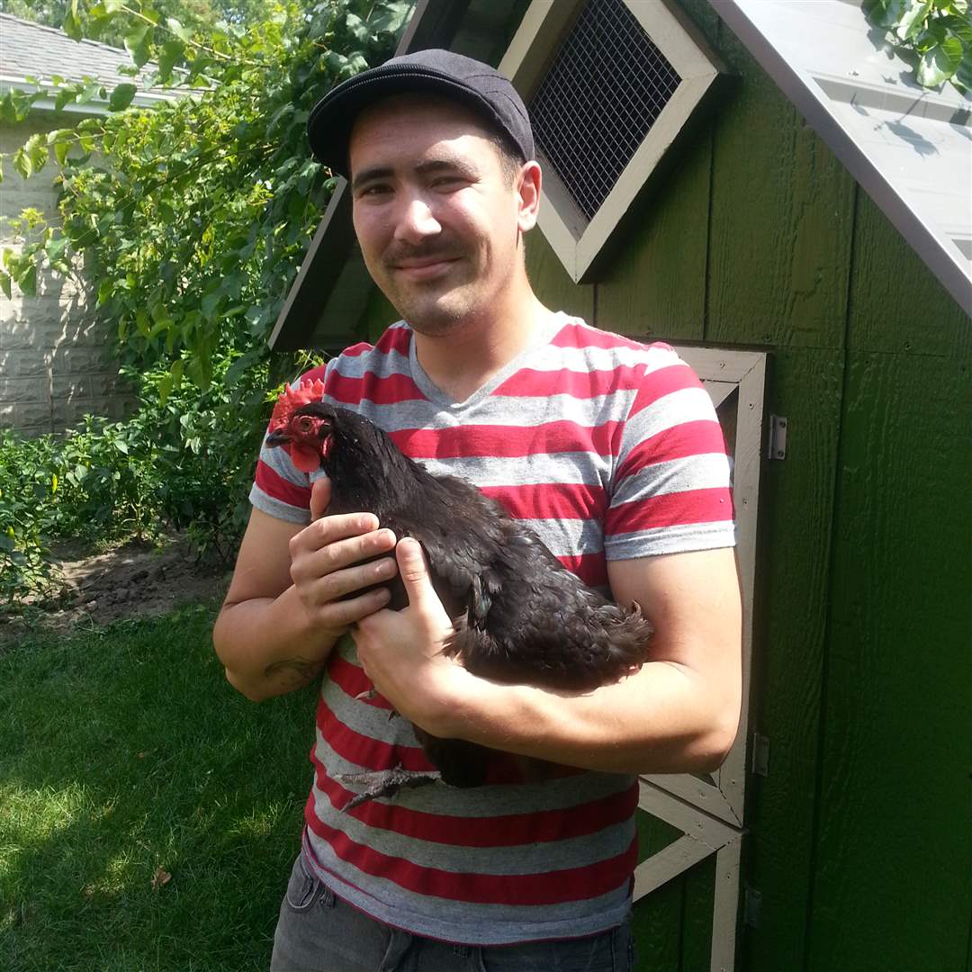 Saving the chickens - The Blade