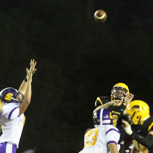 IN PICTURES: Panthers pounce on Wildcats - The Blade