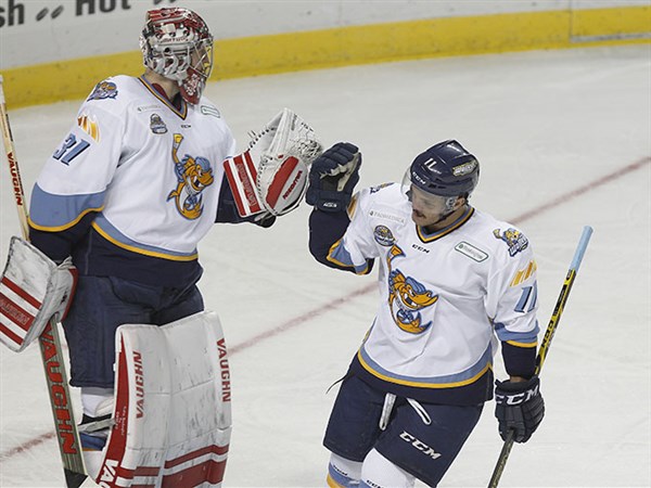 Luciani’s offensive style meshes well with Walleye | The Blade