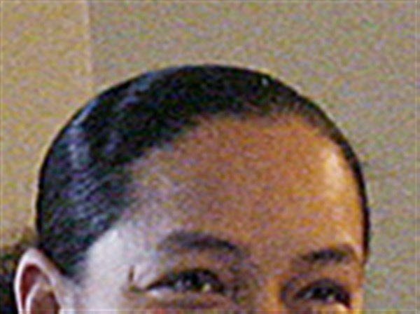 Green light bulbs to shine for issue | The Blade