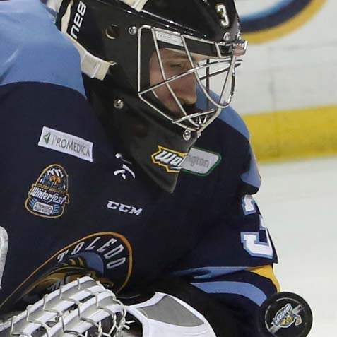 IN PICTURES: Walleye vs. Solar Bears - The Blade