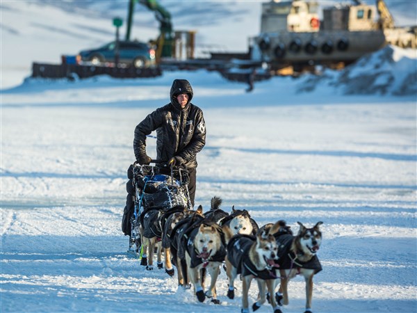 Dallas Seavey wins third Iditarod sled dog race in 4 years | The Blade