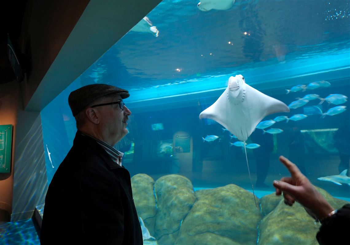 Toledo Zoo Aquarium