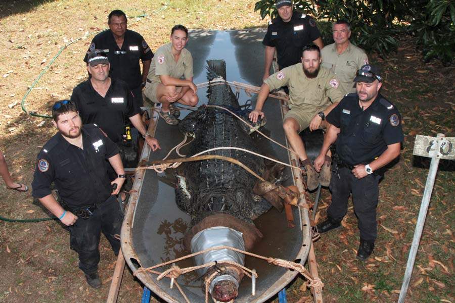 Australia's Daly River crocodile - The Blade