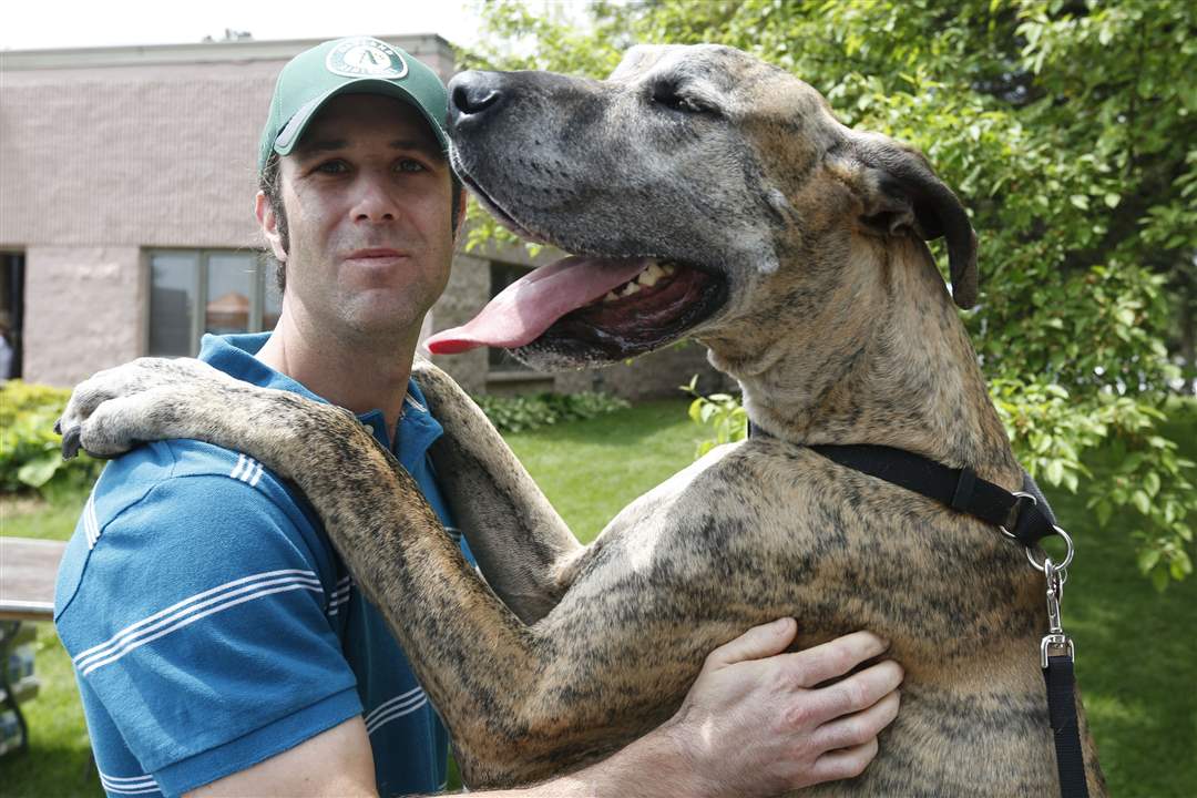 Bark in the Park - The Blade