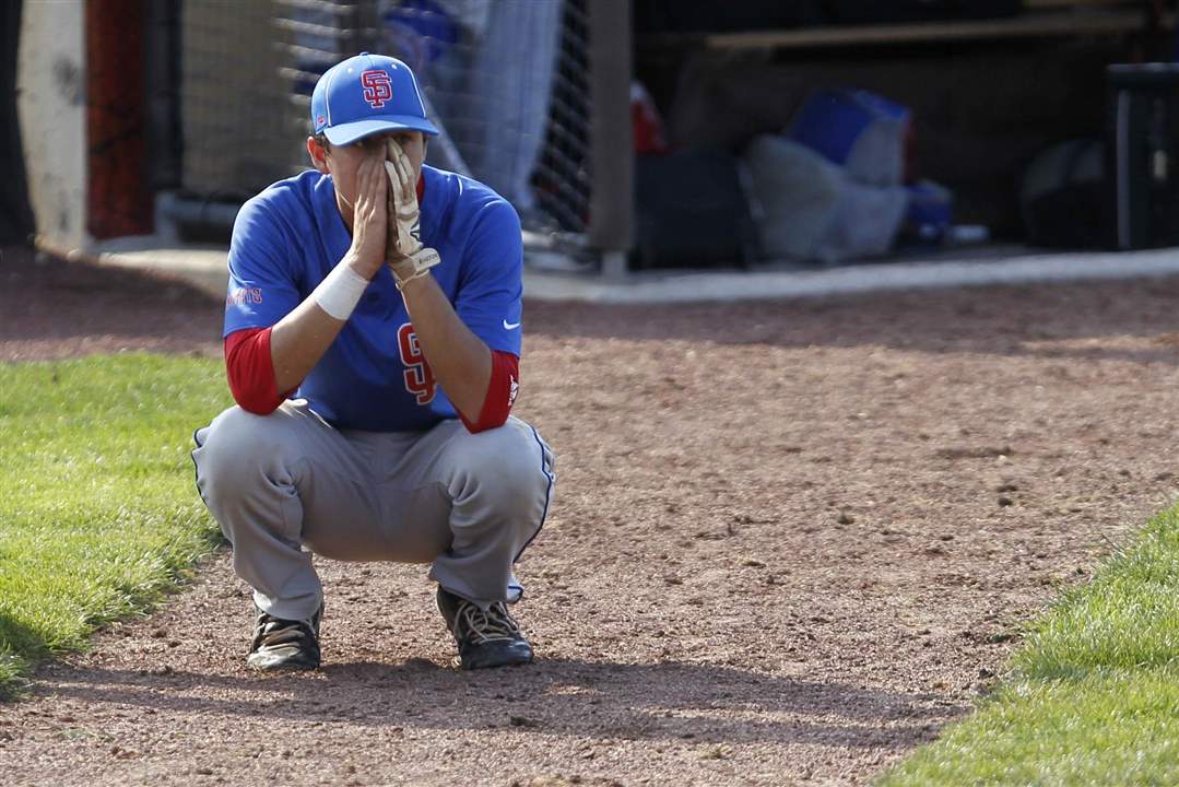 IN PICTURES: St. Francis baseball advances to regional final - The Blade