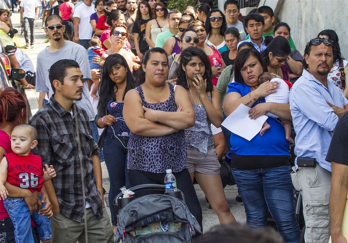 Classify gorgeous Trump supporter