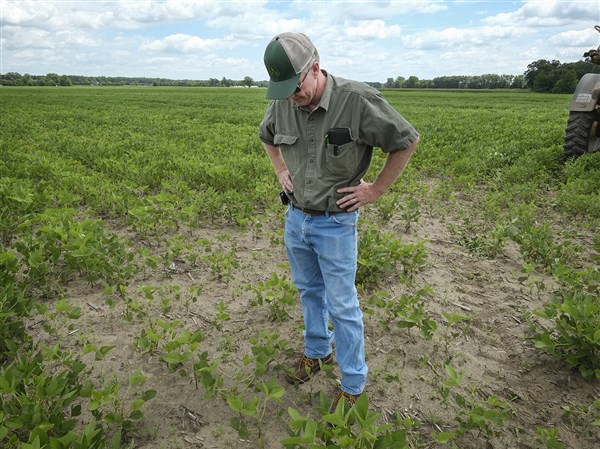 Area farmers expect poor yield | The Blade