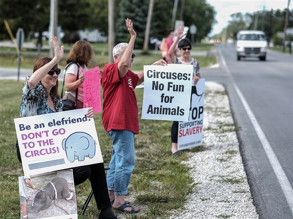 Activists protest treatment of circus animals | The Blade