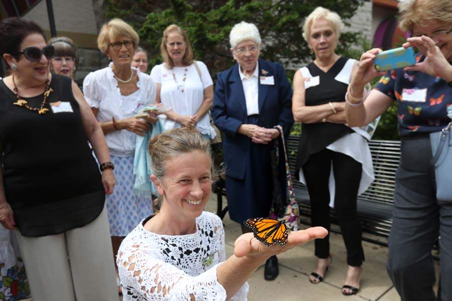 Toledo Zoo releases monarch butterflies - The Blade