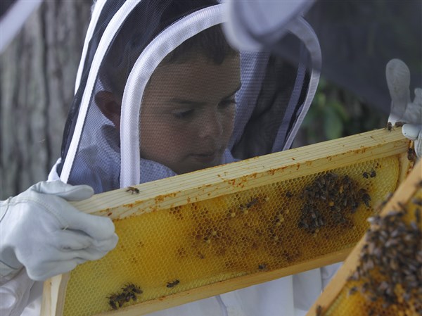 Family affair: Swanton farm espouses earthy values | The Blade