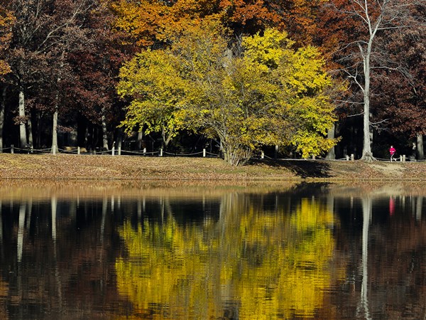 Olander Park is left strapped for cash | The Blade