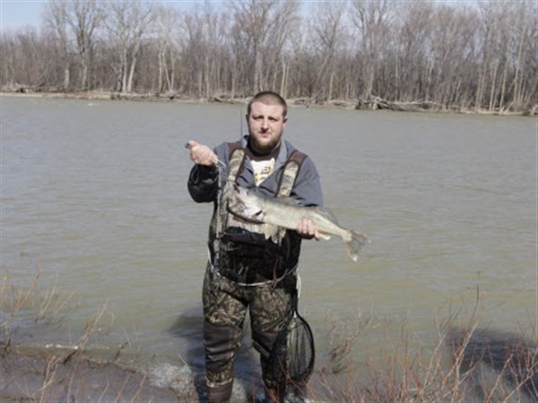 Walleye run begins in Maumee River | The Blade