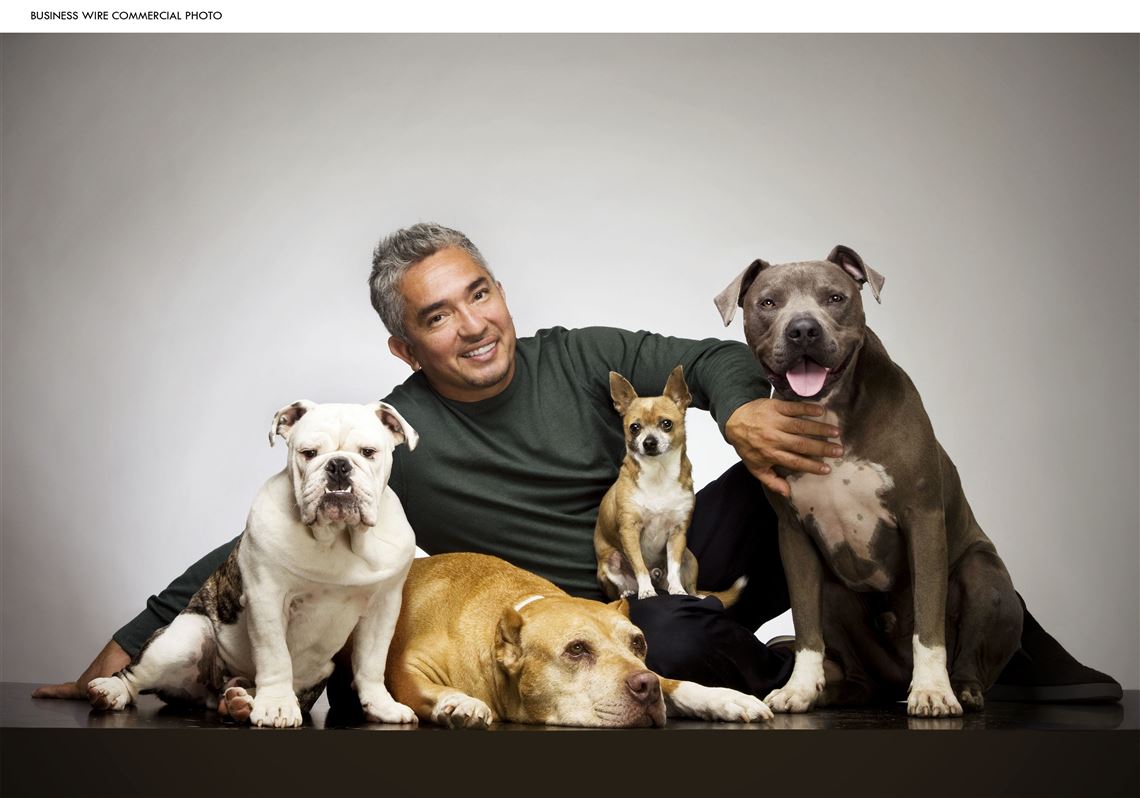 How Much Is Cesar Millan The Dog Whisperer Worth