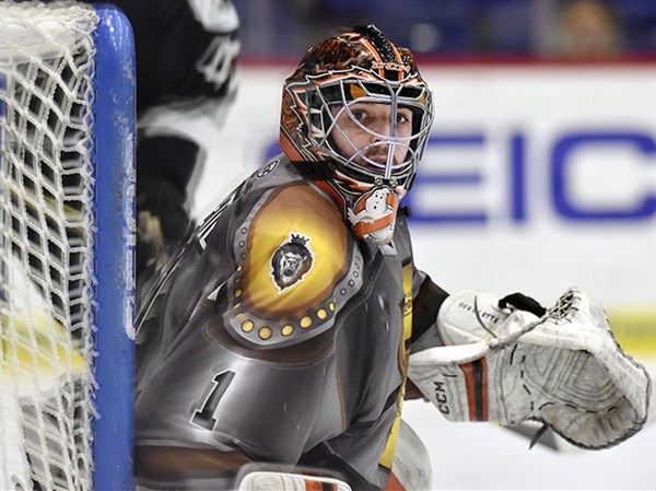 Ouellette, Reading enjoying net gains | The Blade