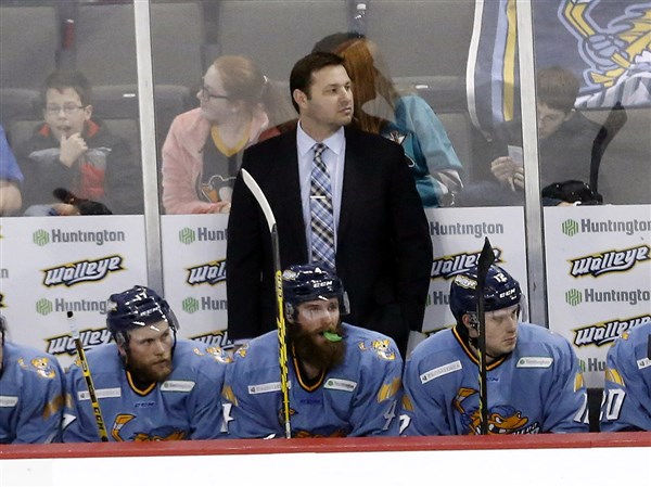 Walleye choose Dan Watson as head coach | The Blade