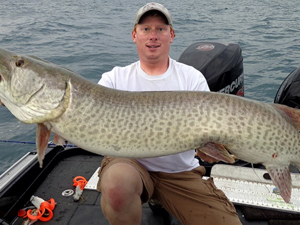 Muskie guide happy to pursue big, bad, ugly fish | The Blade