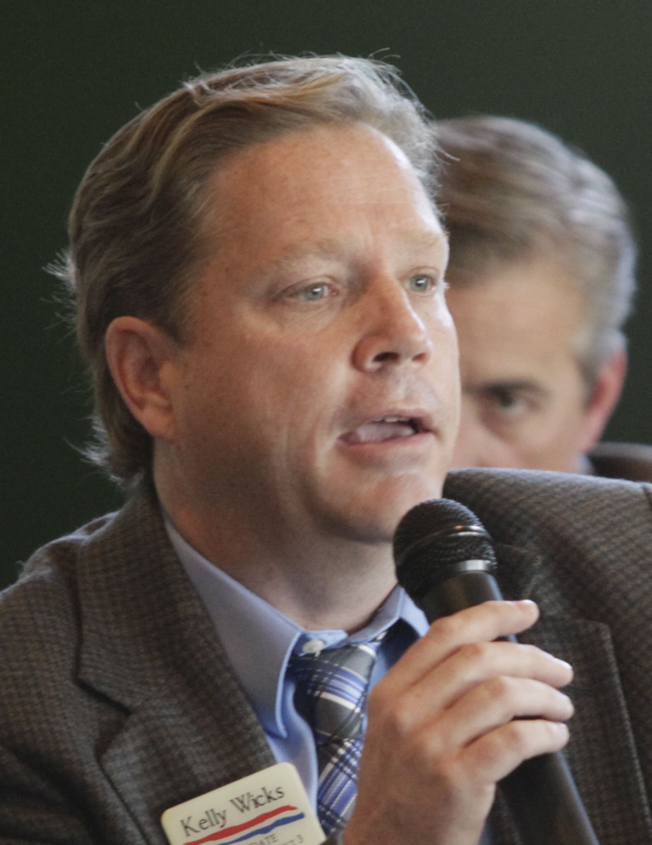 Wood County Dems pick Wicks to run for Ohio House seat - The Blade