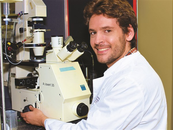 Understanding how the nervous system works | The Blade