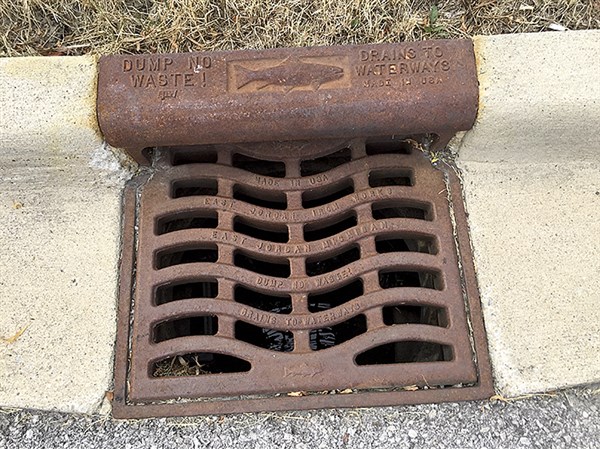 Storm drains can carry evils into our water supply | The Blade