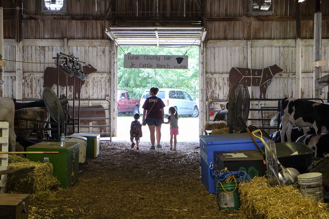Preparing for Lucas County Fair - The Blade