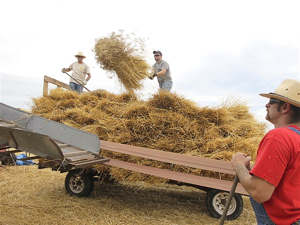 Old-fashioned threshing a hot hobby | The Blade