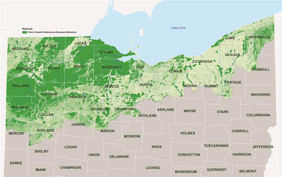 Disappearing wetlands: Ohio’s marshes then and now - The Blade