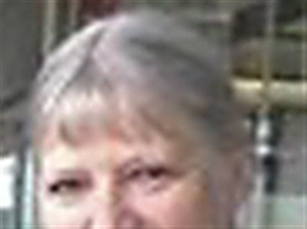 Joan Adamson (1953-2016): Union chairman served at Hinkle | The Blade