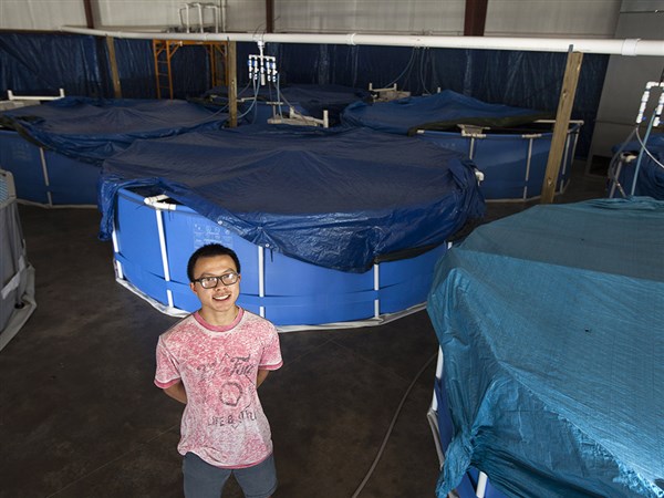 Saltwater shrimp farm thrives in state | The Blade