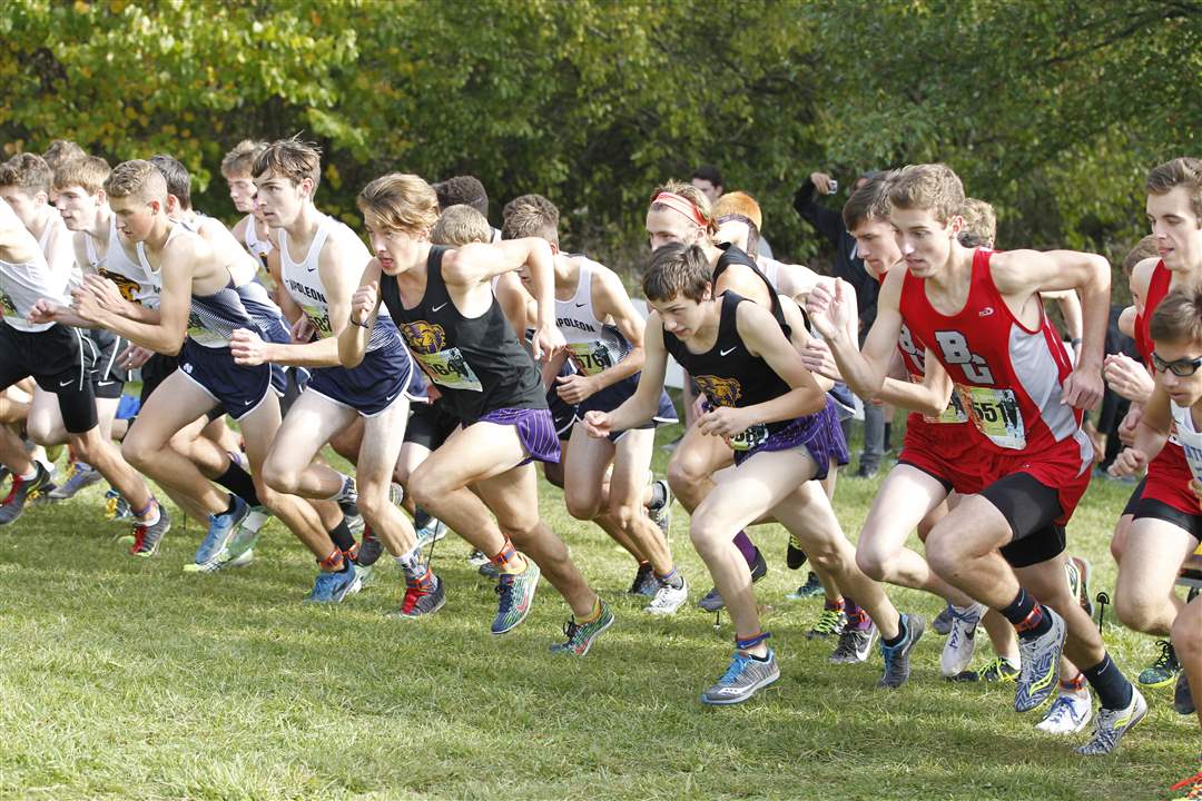 IN PICTURES: NLL cross country meet - The Blade