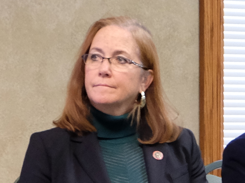 Sears to head Ohio Department of Medicaid - The Blade
