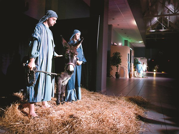 Stars of Bethlehem: Camels, animals add life to Nativity scenes | The Blade