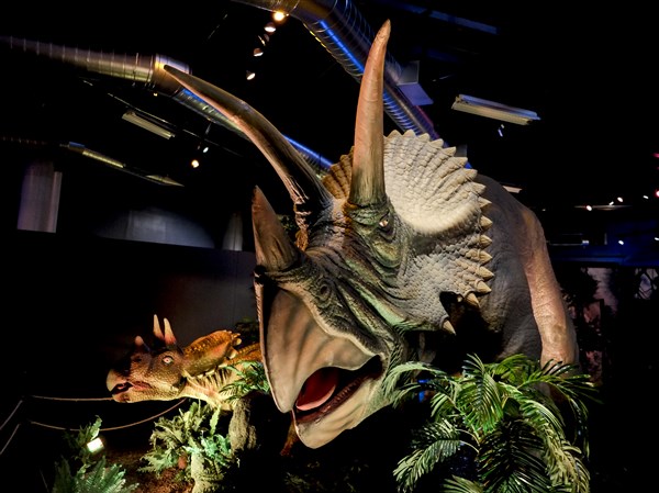 Dinosaurs descend on SeaGate Convention Centre | The Blade