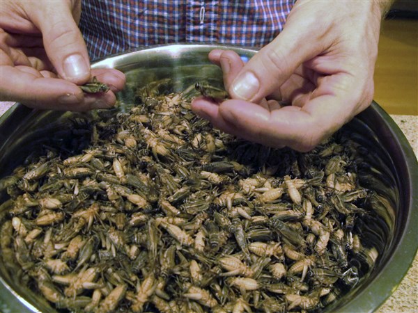 Crickets make leap in demand as a protein | The Blade