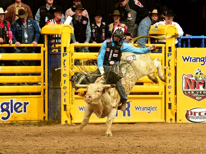 Wild ride: PRCA Xtreme Bulls bucks way to Toledo - The Blade
