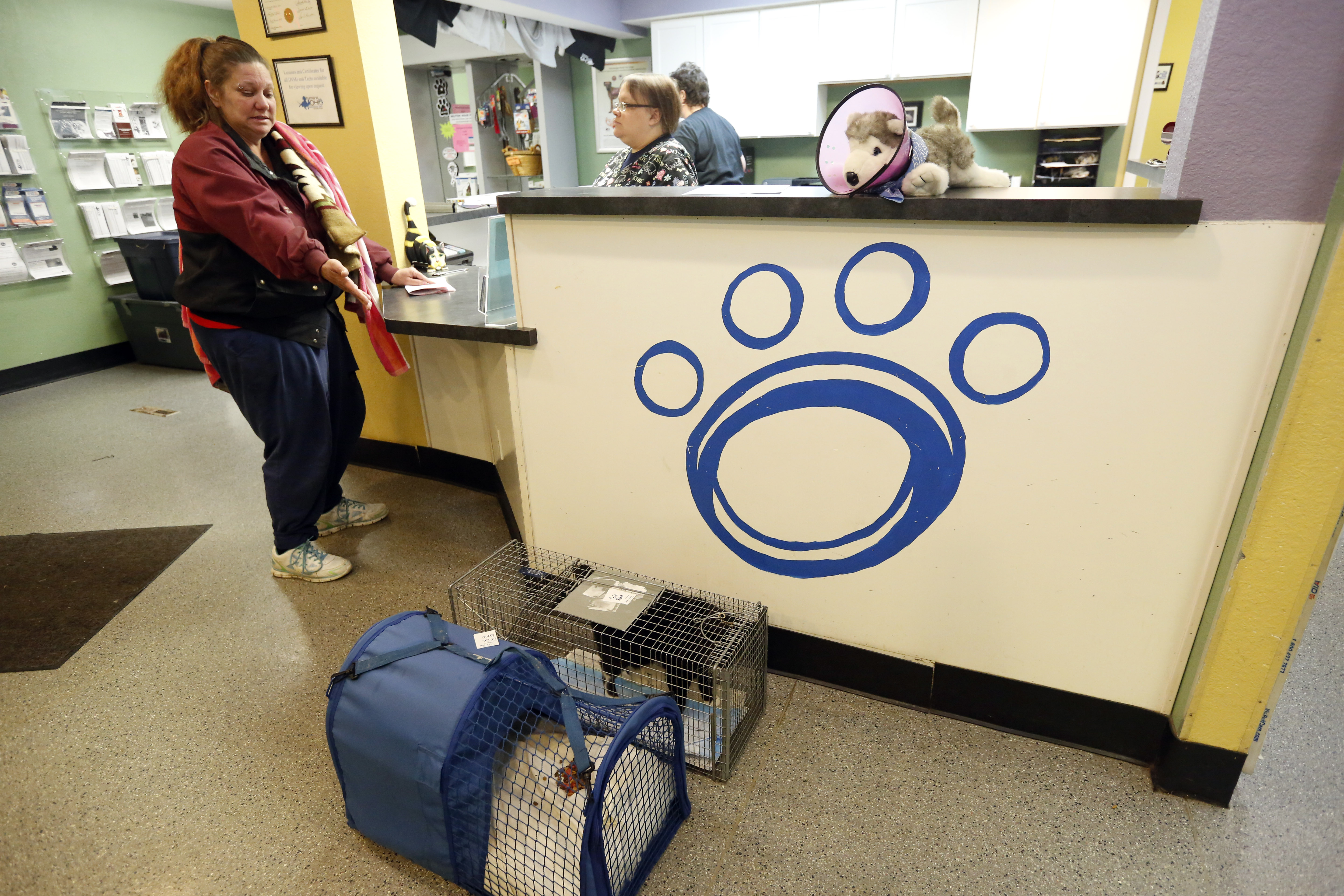 West Toledo animal clinic faced with space crunch - The Blade